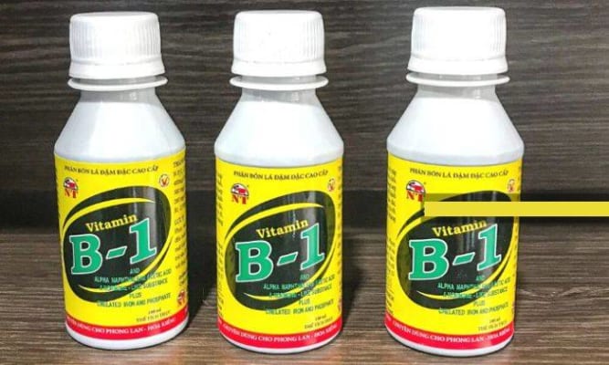 Cách Tưới B1 Cho Lan Hồ Điệp Bí Quyết Chăm Sóc Để Lan Nở Đẹp